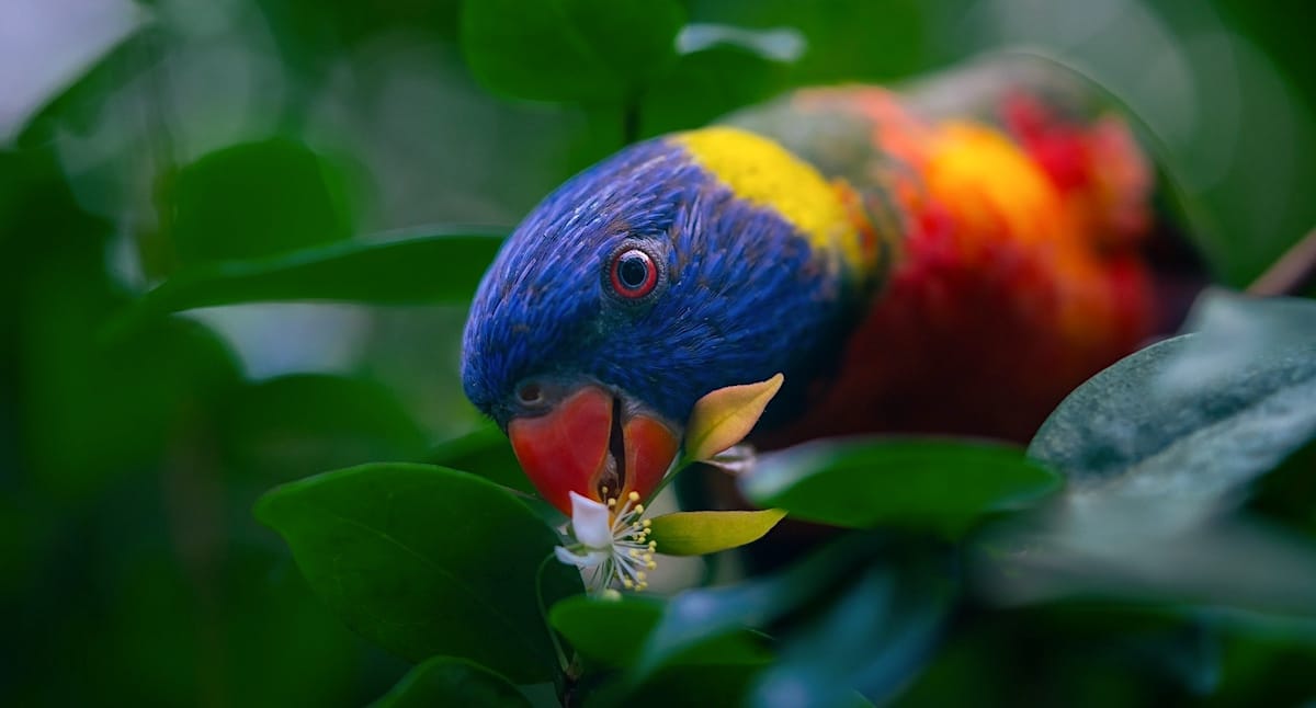 Zoo Emmen Gutschein 2022