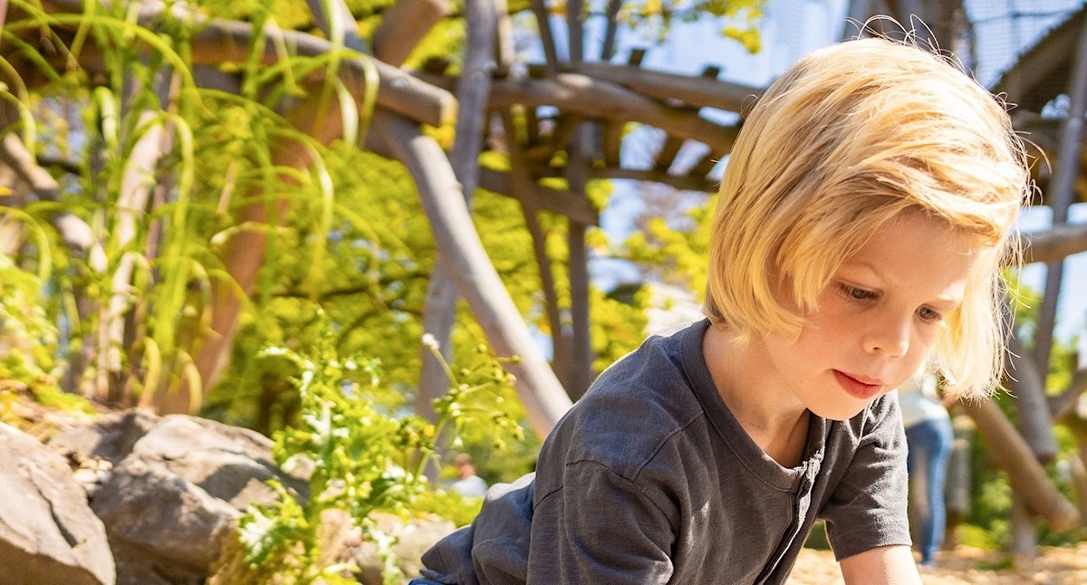 FORT FUN Abenteuerland: Fakten zum „Großer Adlers freier Flug“